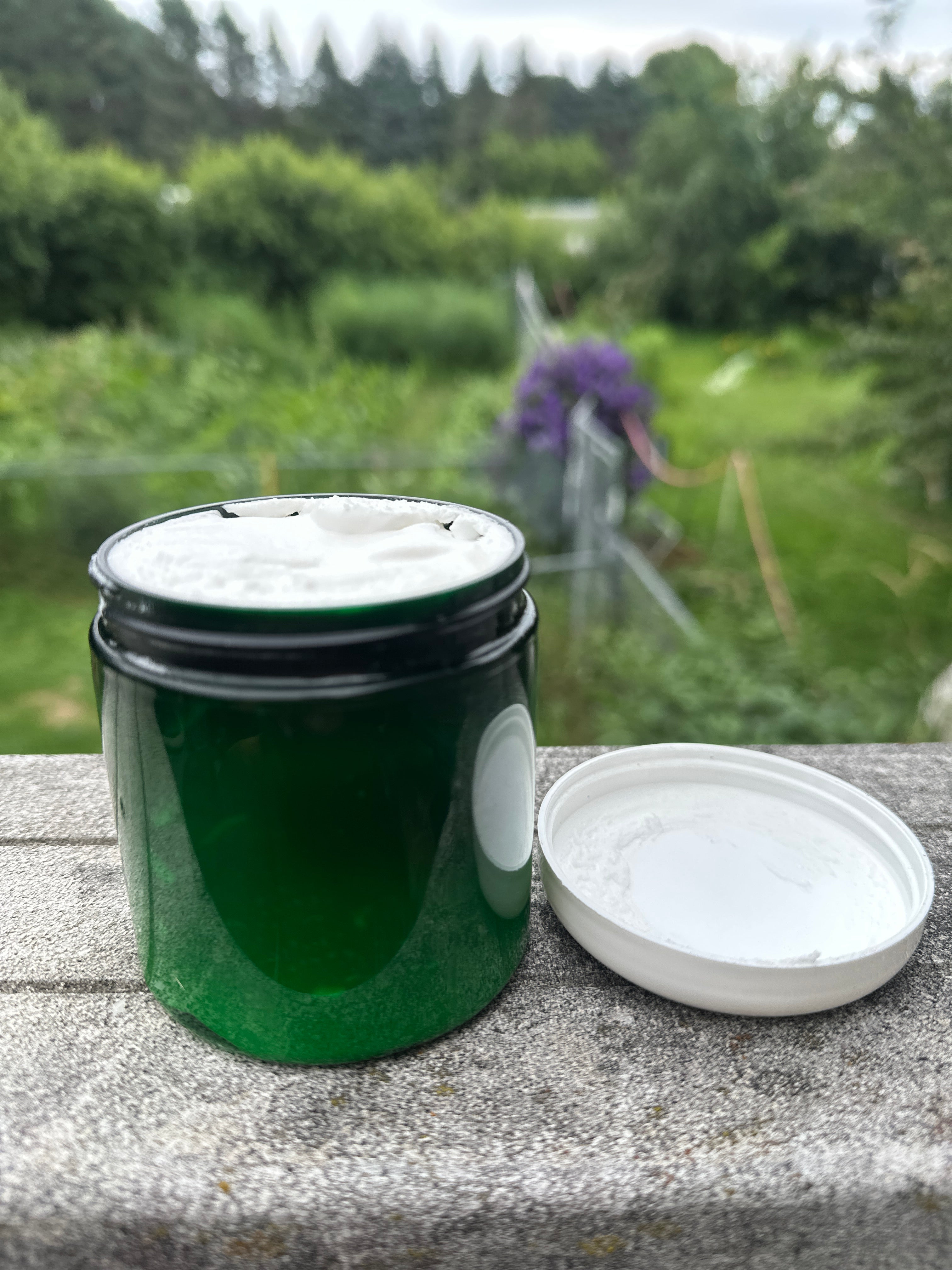 Tallow – Apple Blossom Kennels