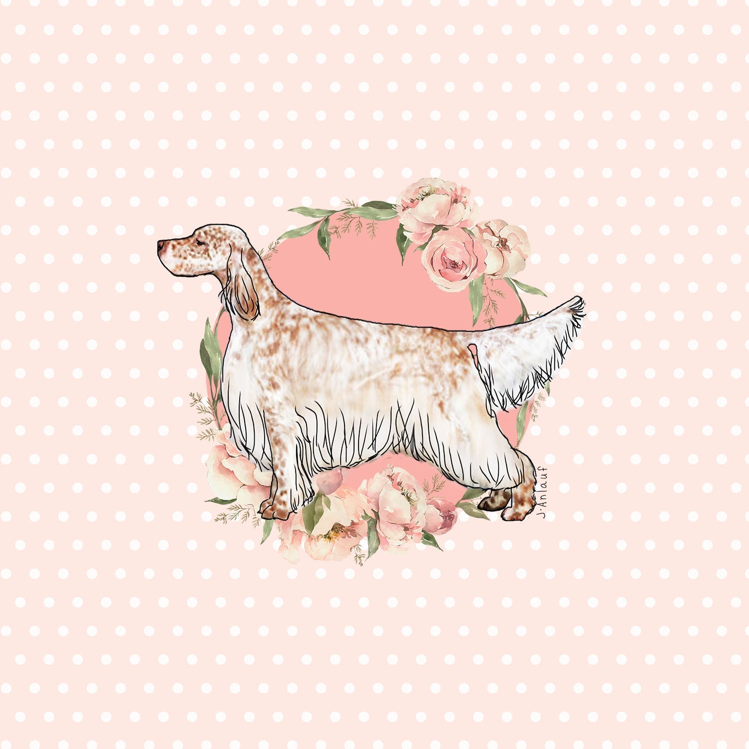 English Setter – Apple Blossom Kennels