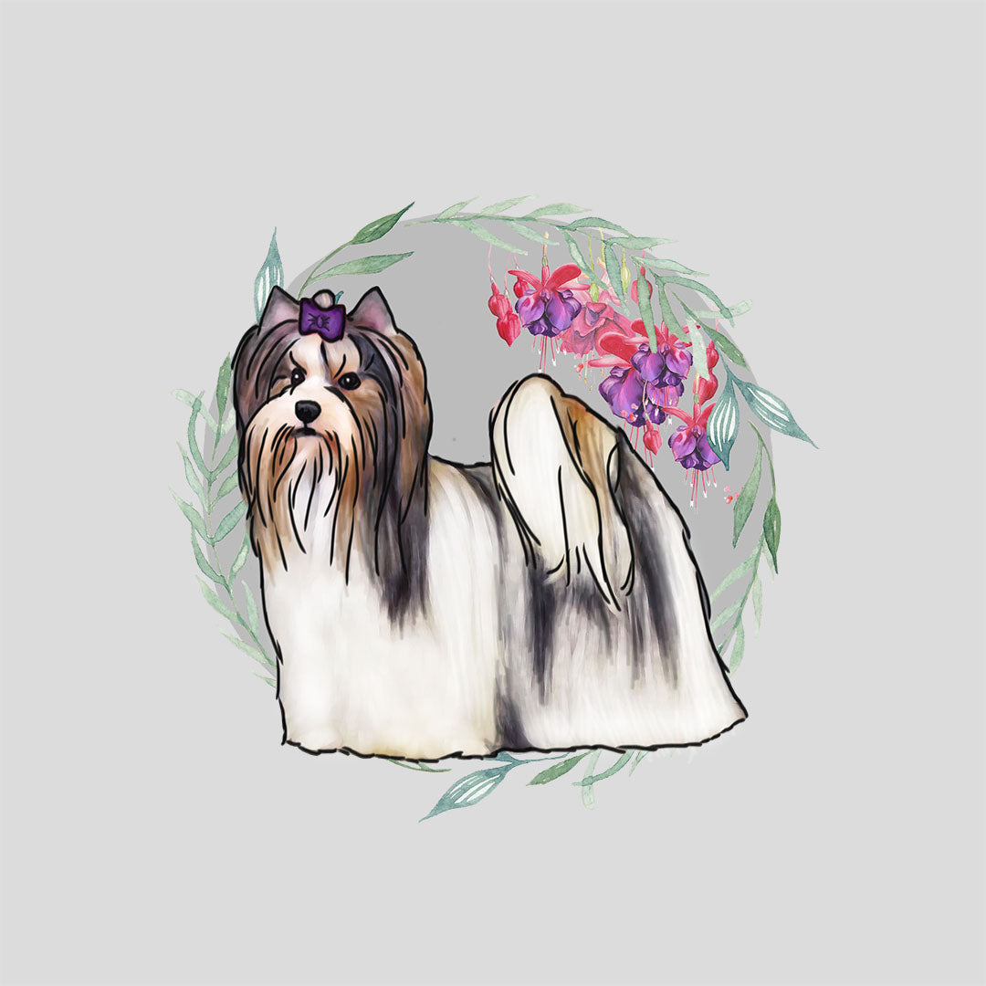 Biewer Terrier – Apple Blossom Kennels