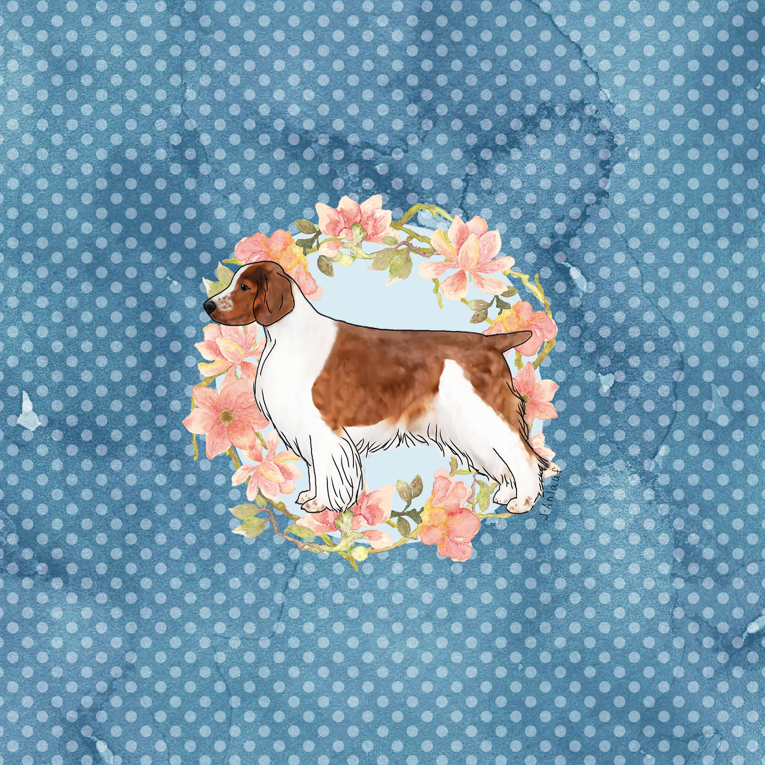 Welsh Springer Spaniel – Apple Blossom Kennels