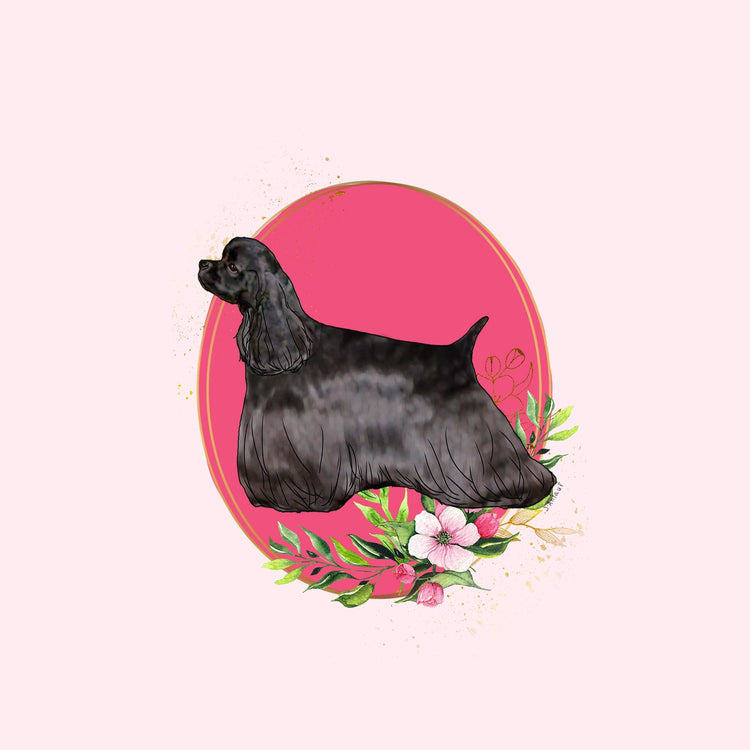 Cocker Spaniel – Apple Blossom Kennels